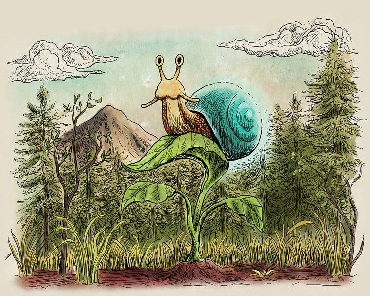 About Us - New – The Iron Snail